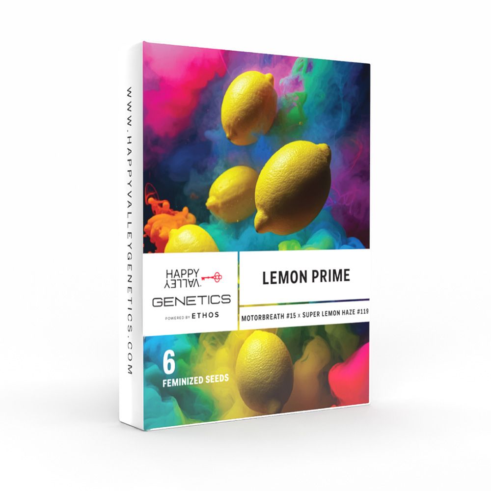 Lemon Prime Feminisiert – THC-reiche Indoor Samen